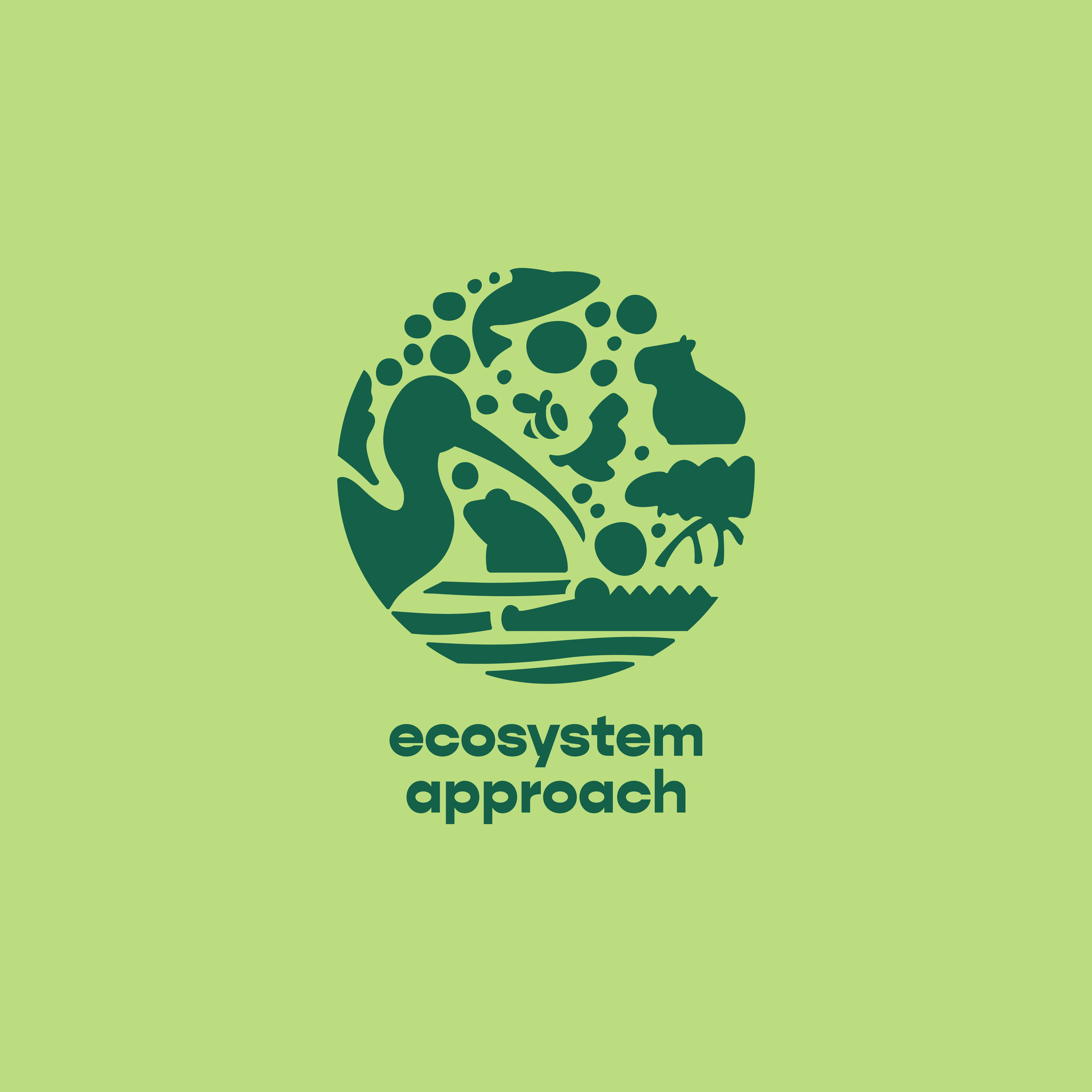 Ecosystem Approach Limited