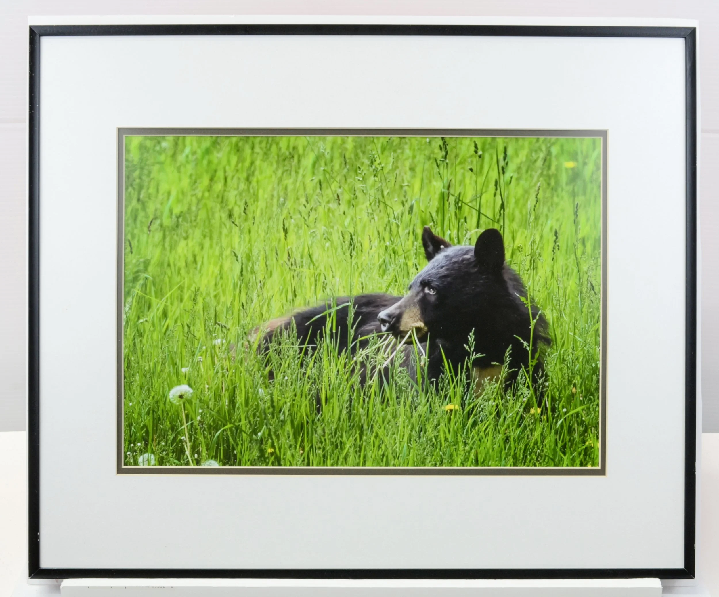 Turnbull, Bruce — Penticton Art Gallery