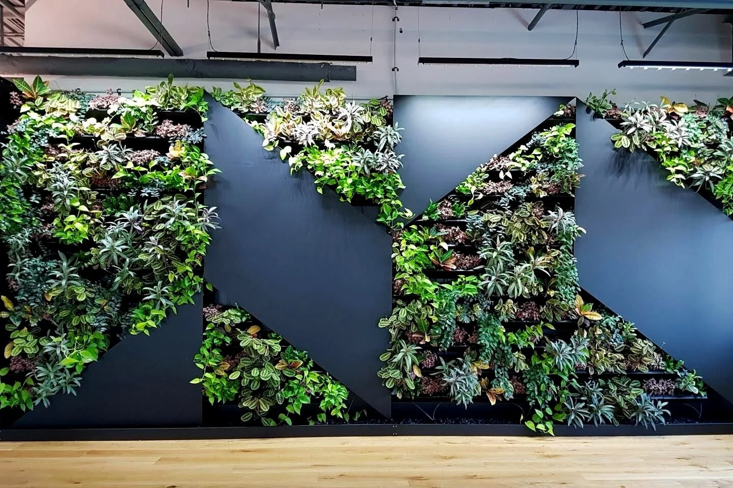 Elevate Your Workspace with Our Interior Plant Services — Seasonal Impact