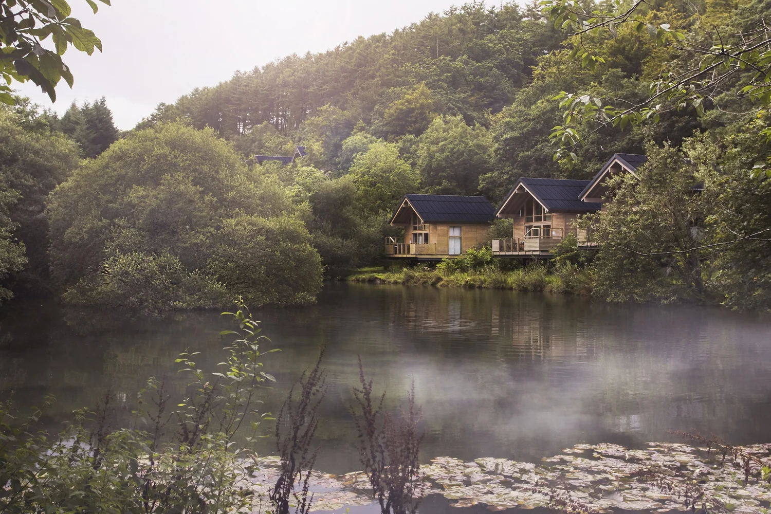 Bypass Diodes Explained — Sunflare Array