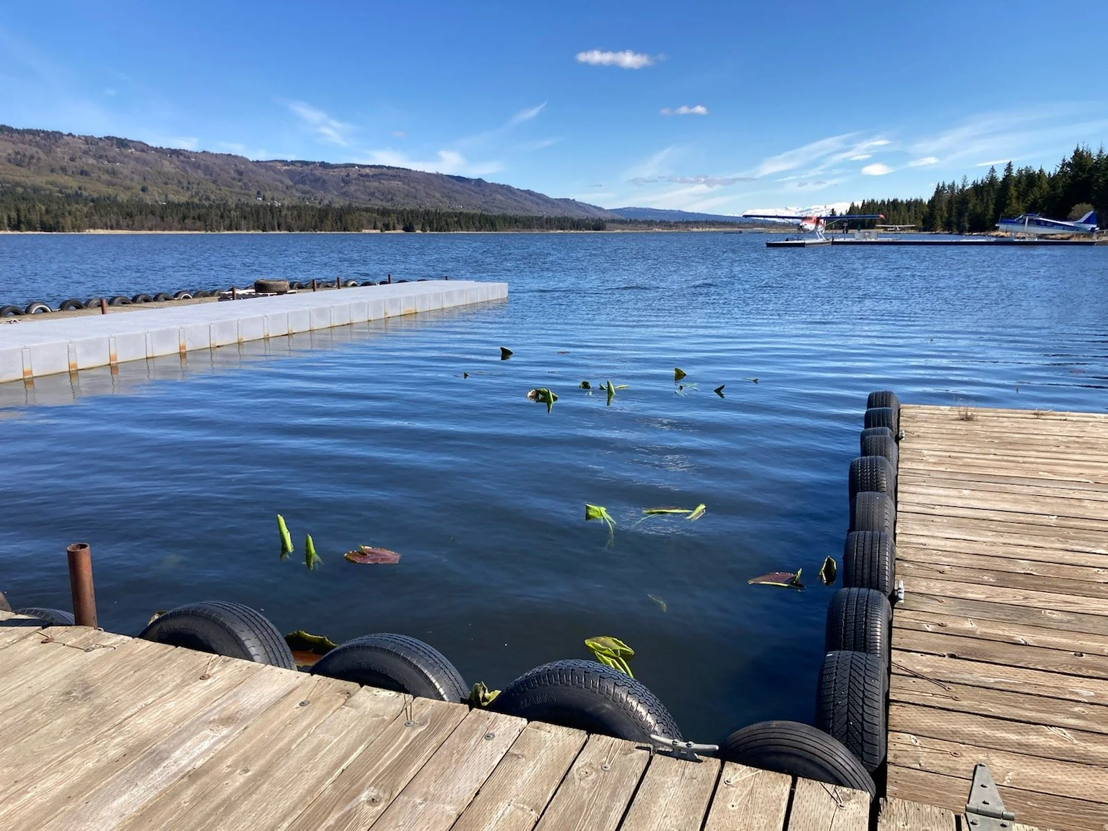 Services — Lodging, Dining, and Events on Beluga Lake Homer, Alaska