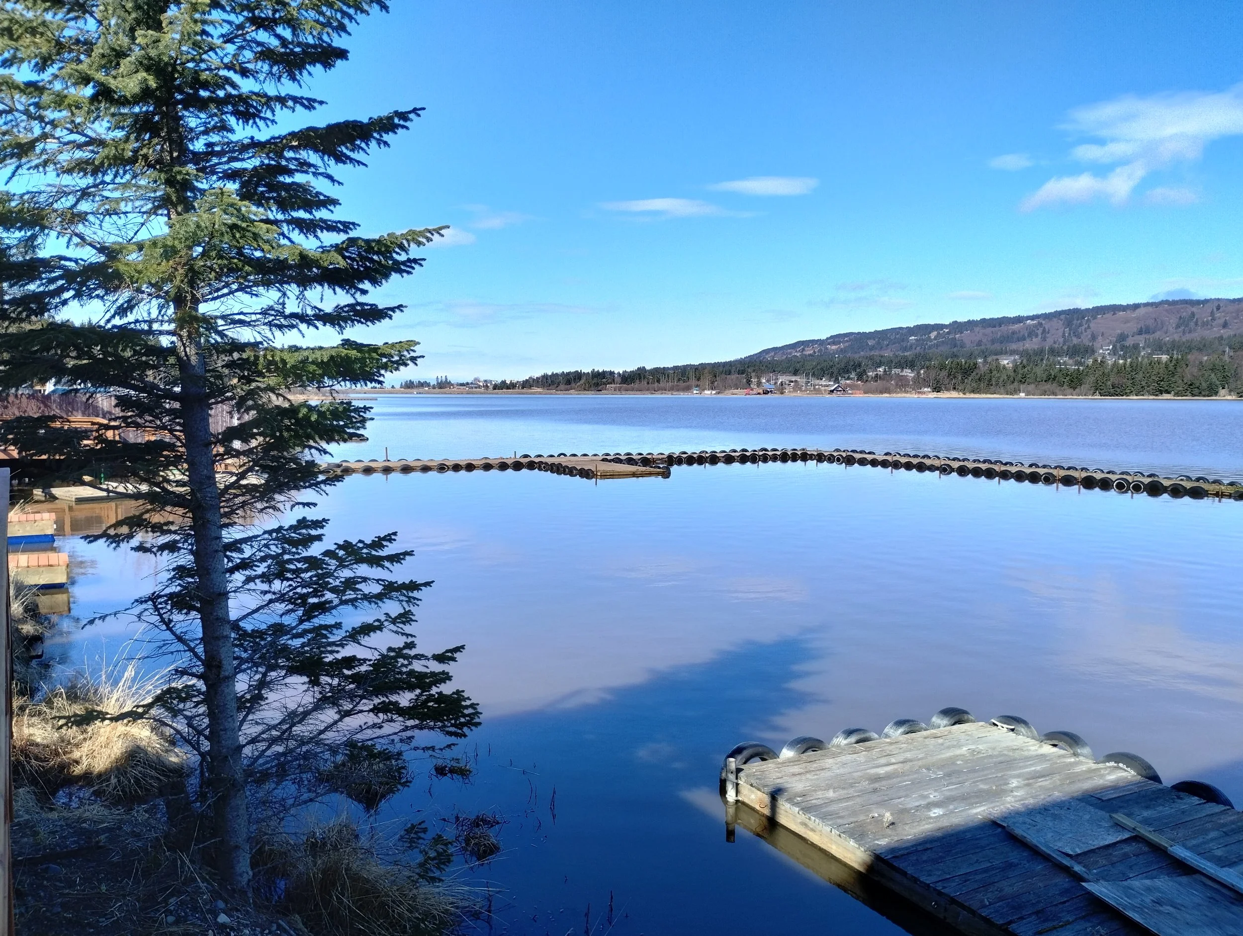 Lodging, Dining, and Events on Beluga Lake Homer, Alaska