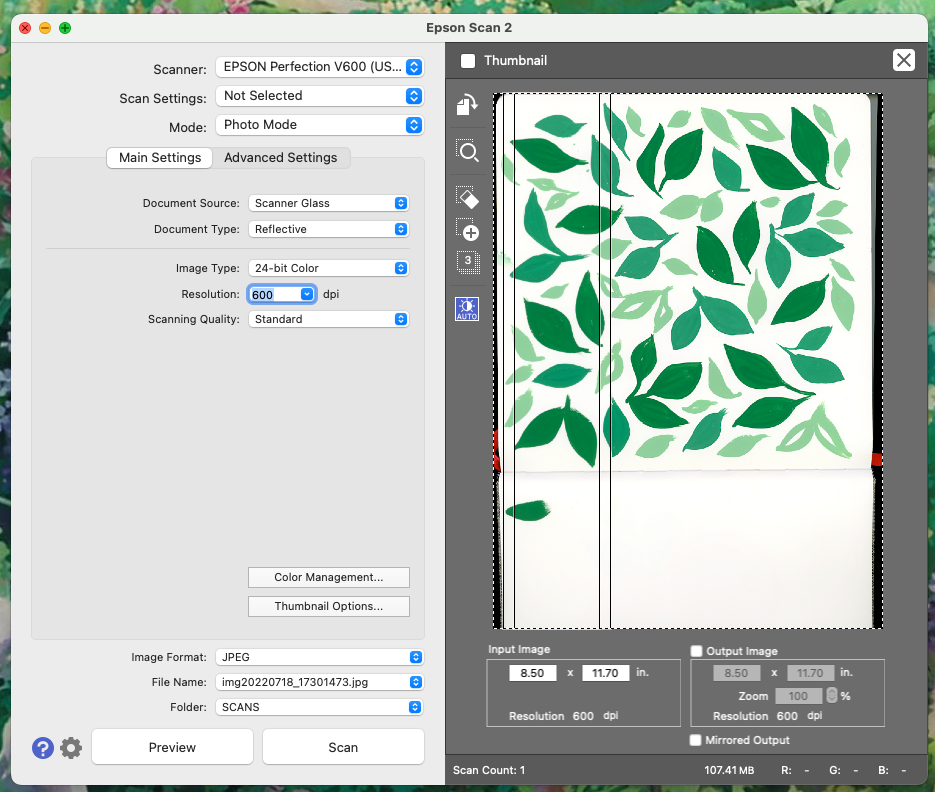 How to Digitize Paintings in Photoshop — Ann Shen Creative