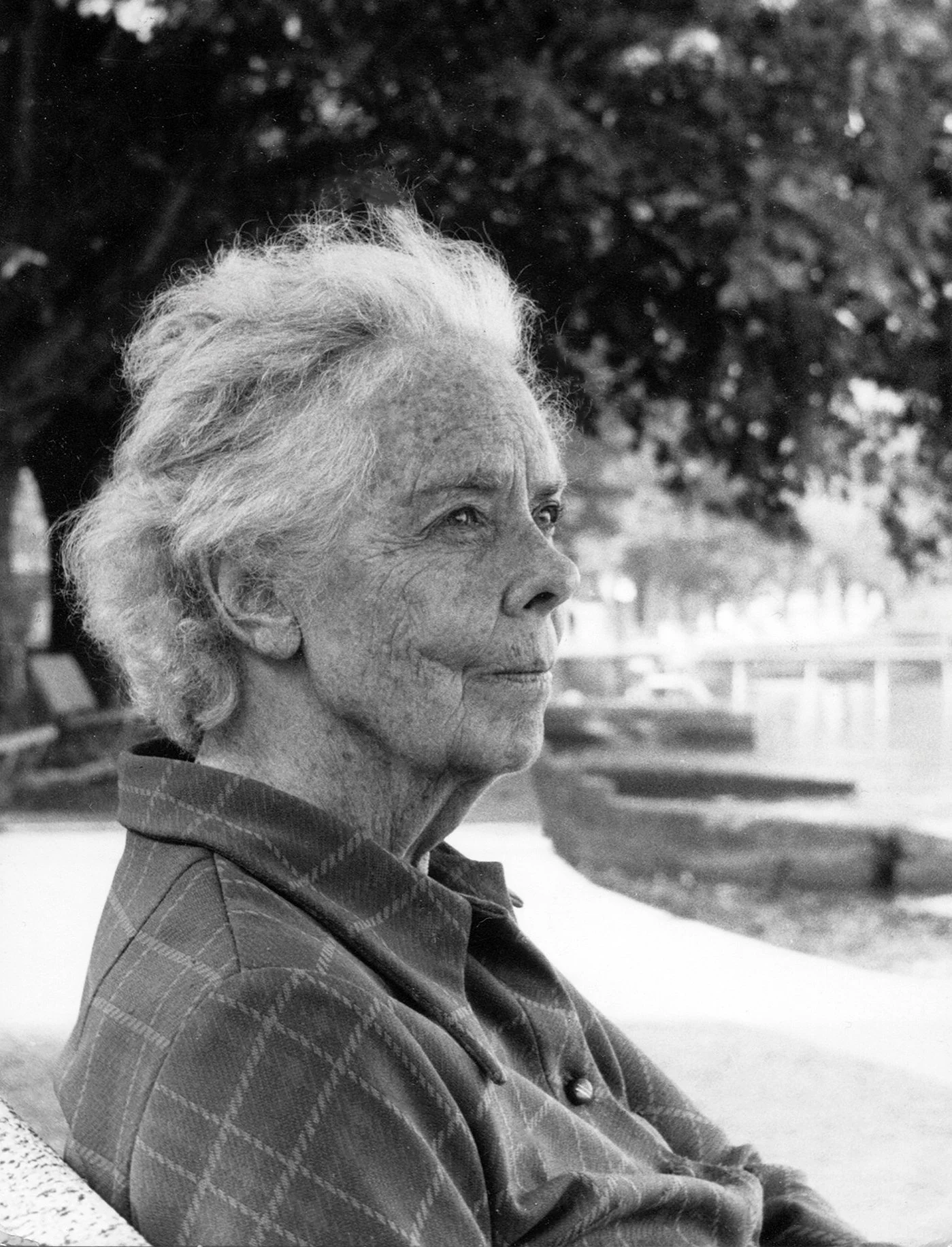 The Janet Travell Foundation