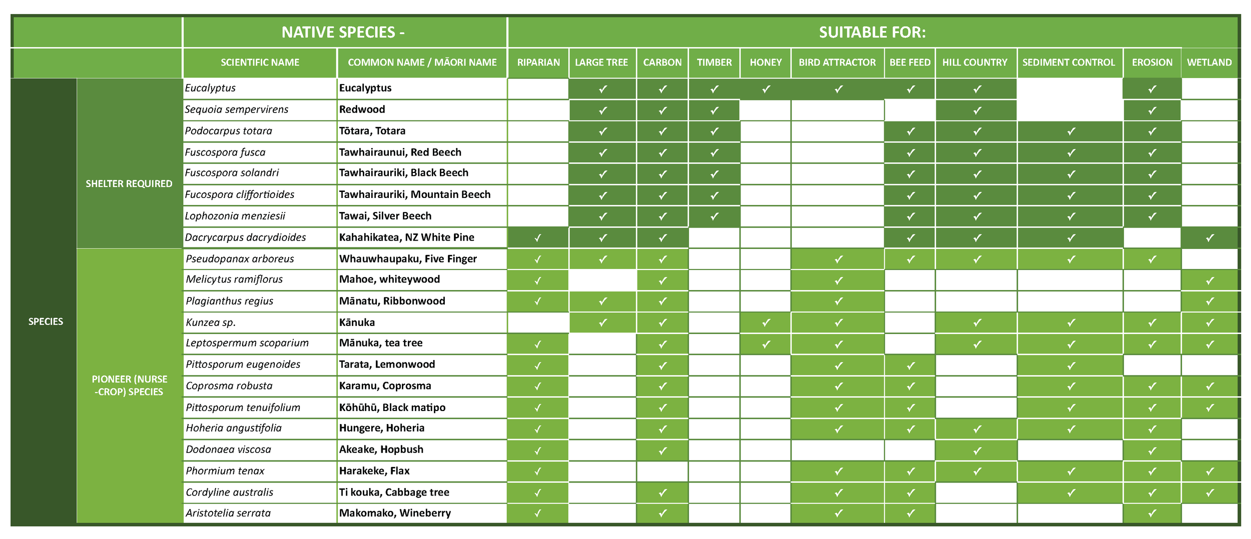 Plants — Natives NZ