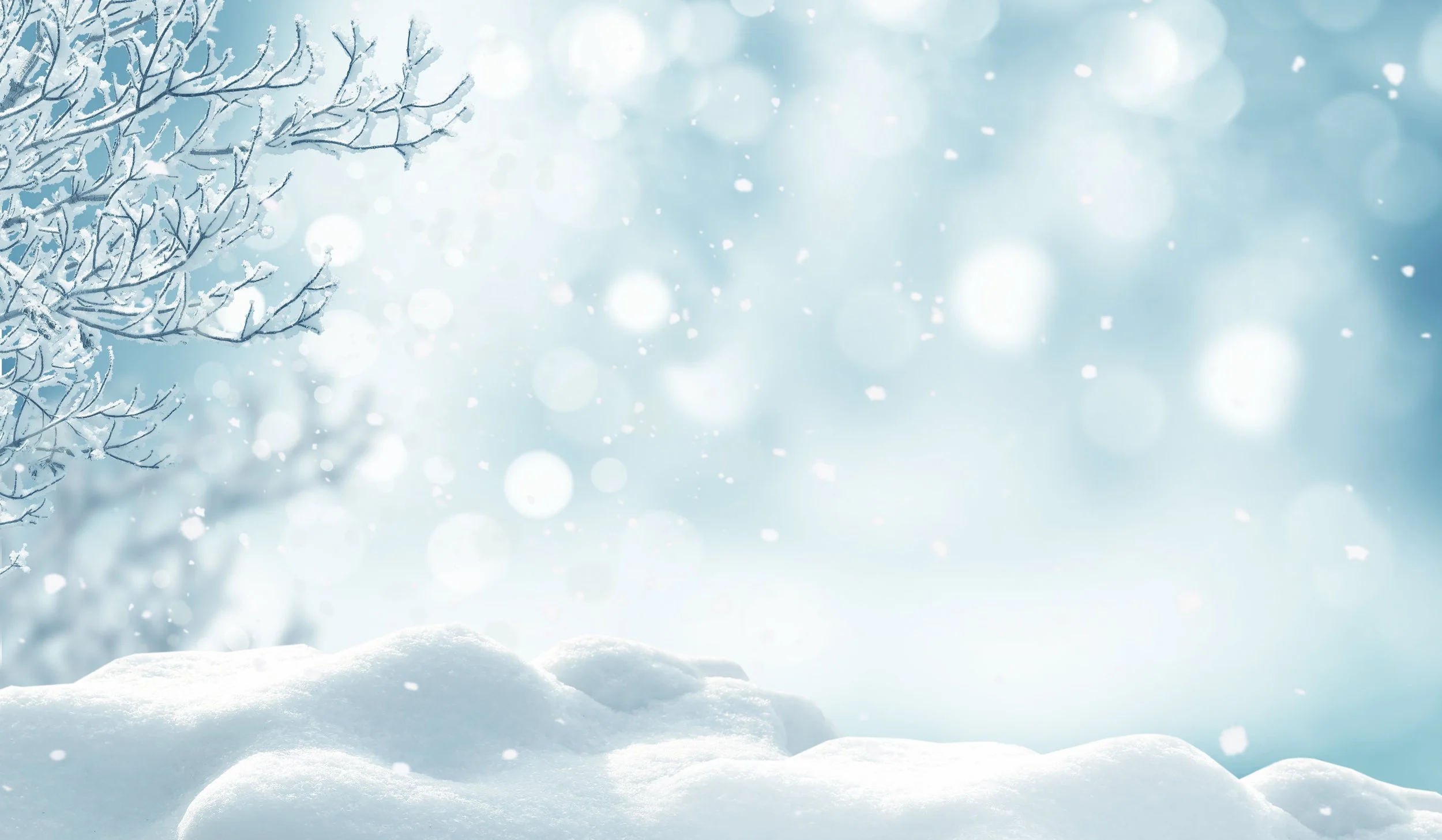 Applying For An ECS Card — Optima Electrical Training