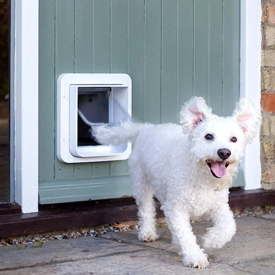 How To Choose The Best Dog Door For Your Home — Healthy Happy Paws