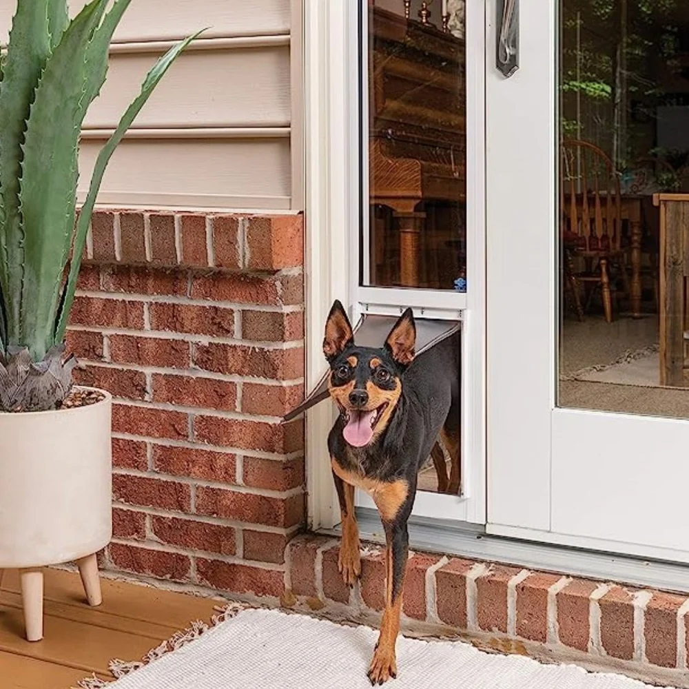 How To Choose The Best Dog Door For Your Home — Healthy Happy Paws