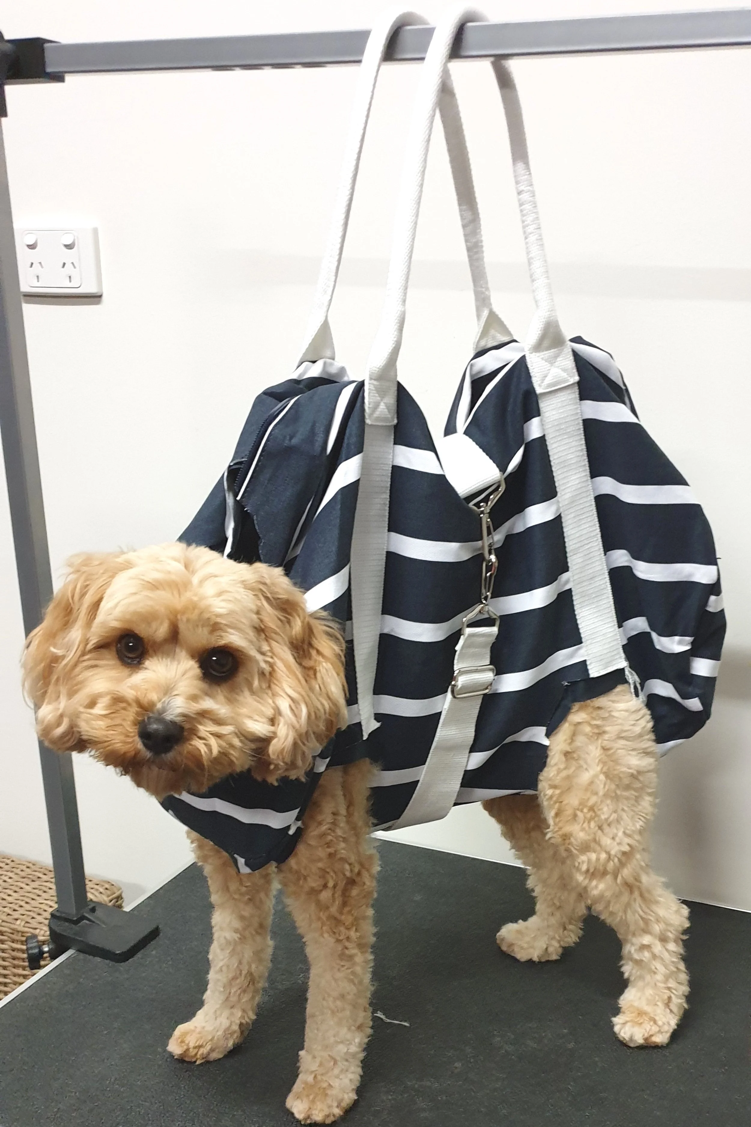 Diy dog grooming hammock online