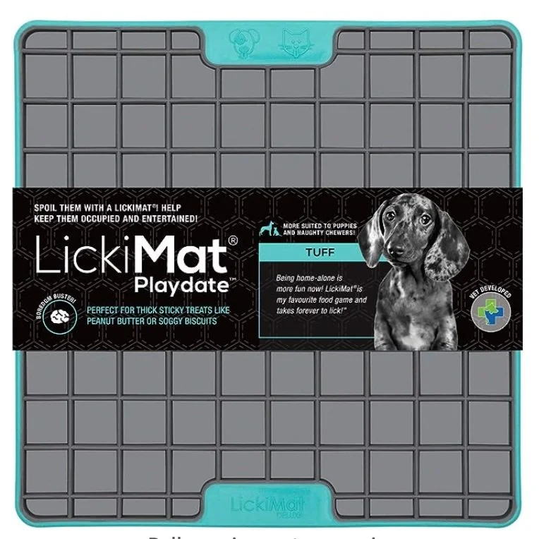 10 Irresistible Dog Lick Mat Recipes — Healthy Happy Paws