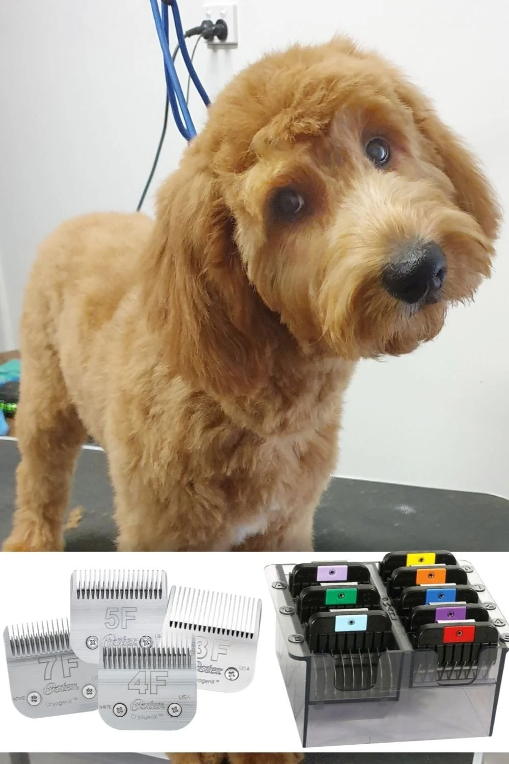 Dog Grooming Clipper Blades Vs Attachment Combs: Which Should You Use ...