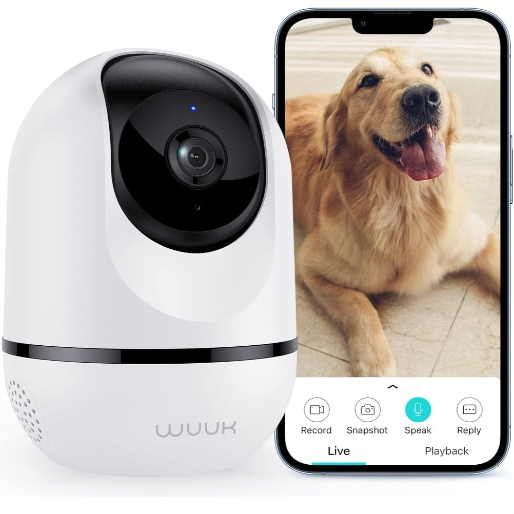 Keeping An Eye On Your Pup: How Security Cameras Bring Peace Of Mind ...