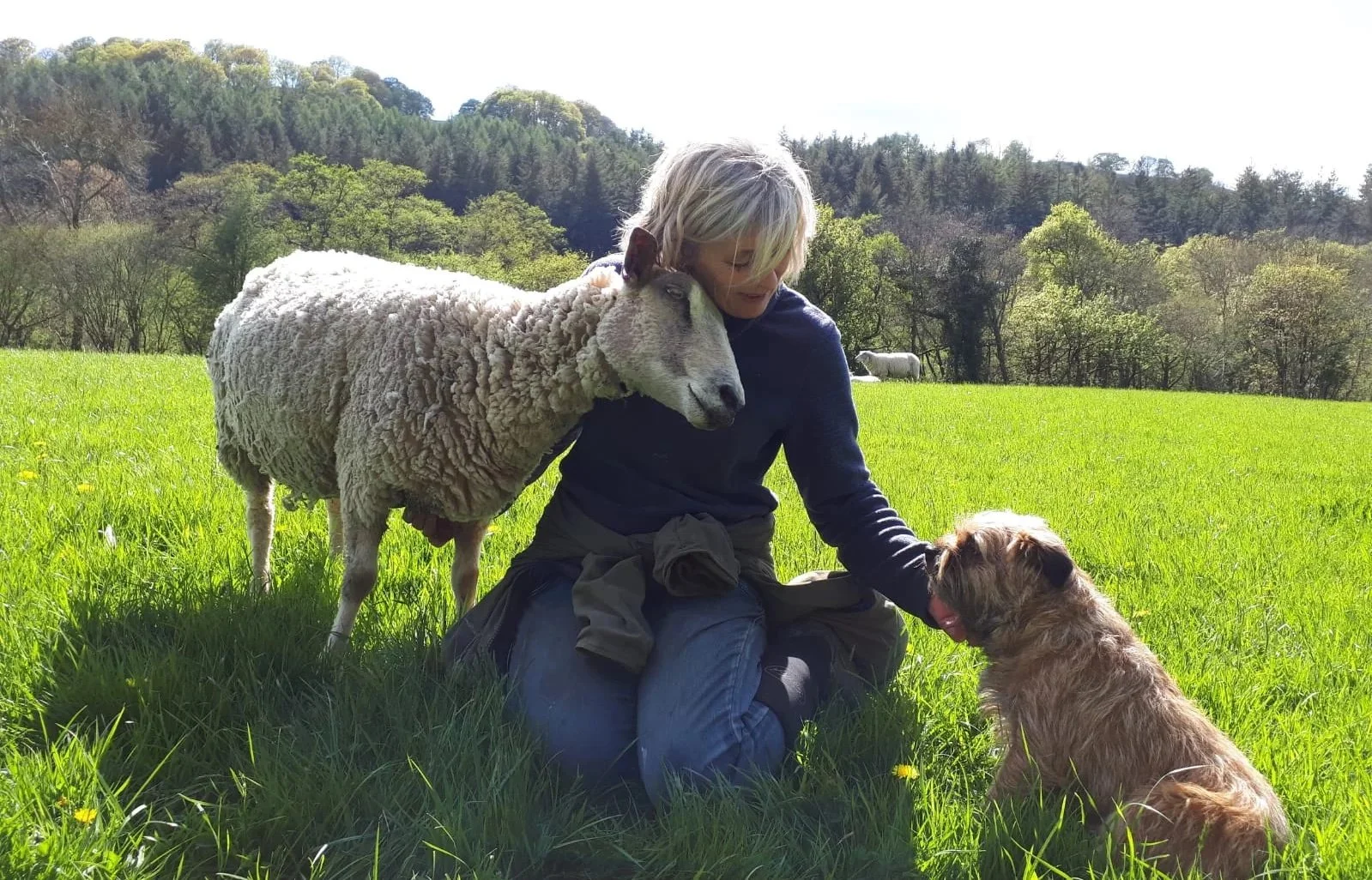 About Us | Discover Farm Life Today — Camp Plas