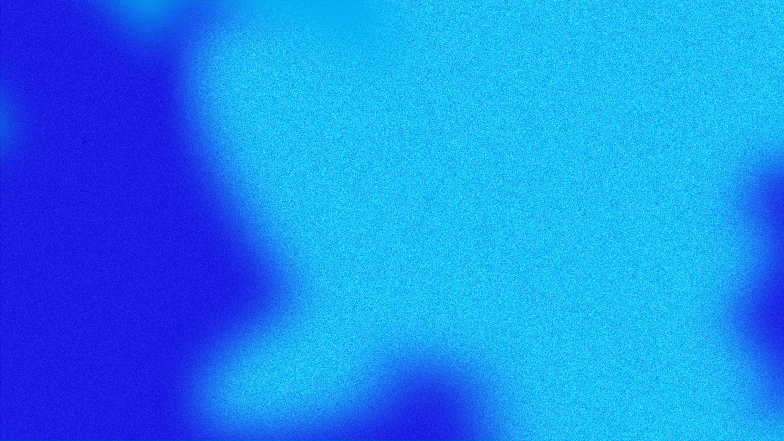 About — Cafe Balearica