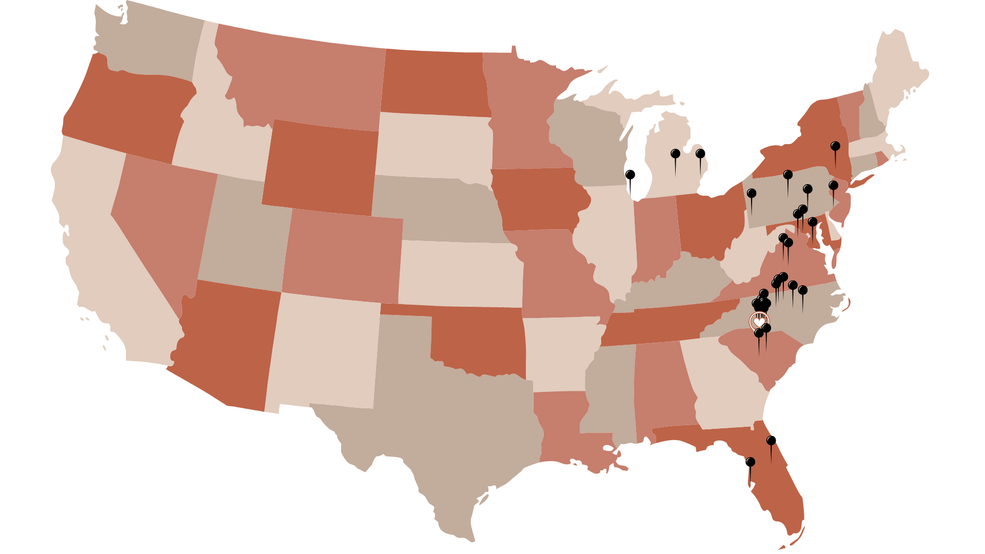 Happy Hamstery | Winter White Hamsters In South Carolina
