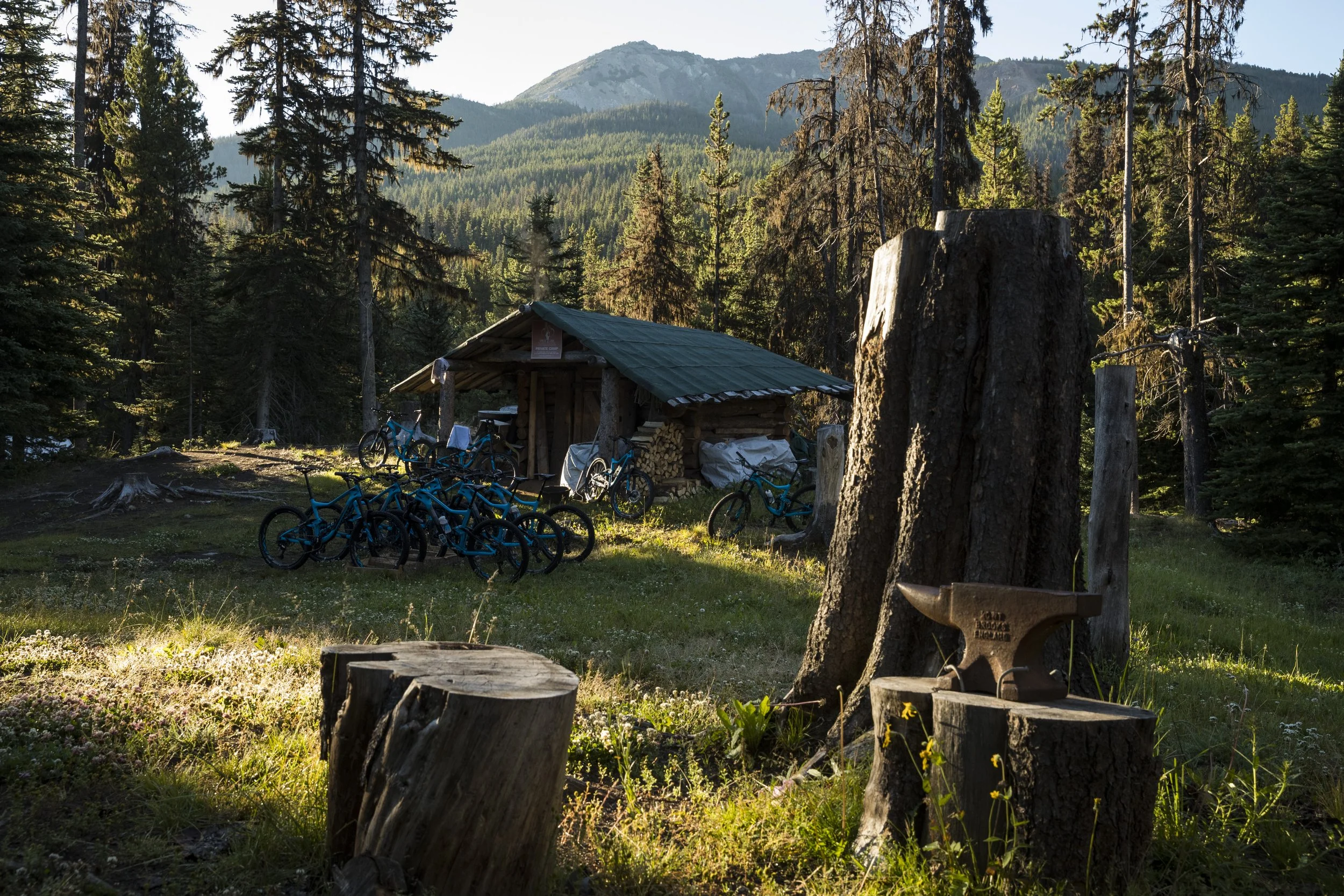 Spruce Camp — Tyax Adventures