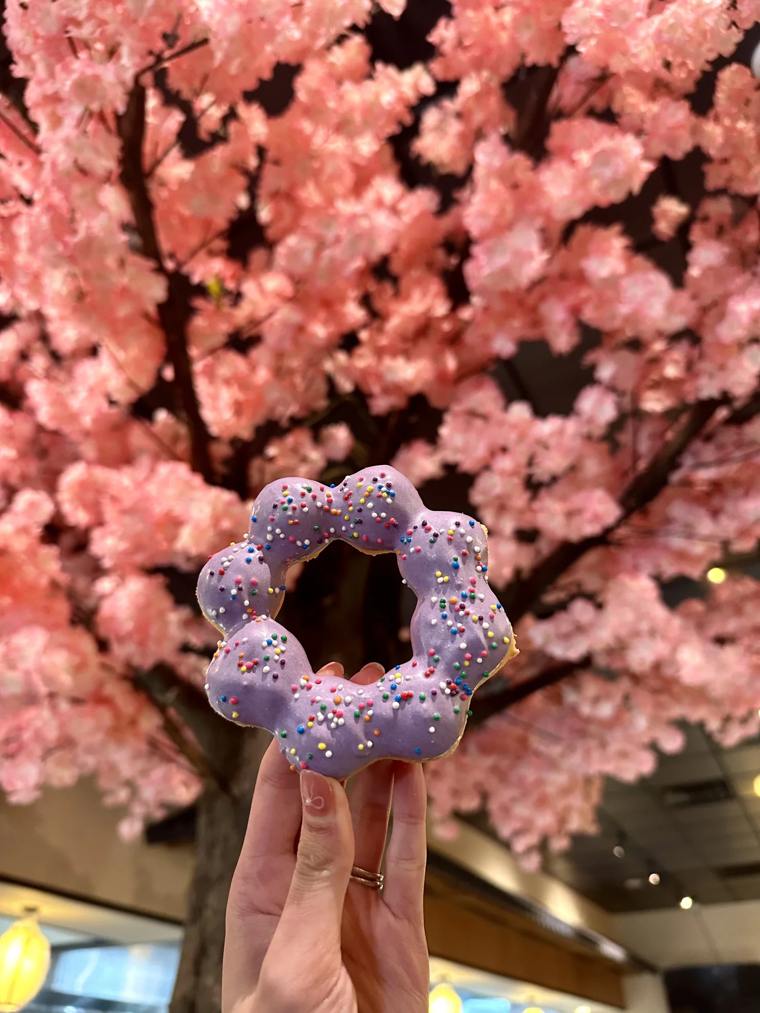 High Point, NC — ISO ISO RAMEN