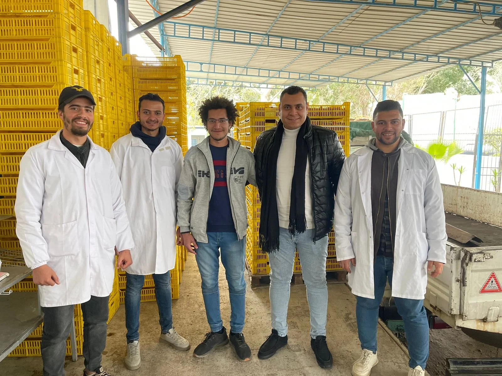 Services — Mozare3