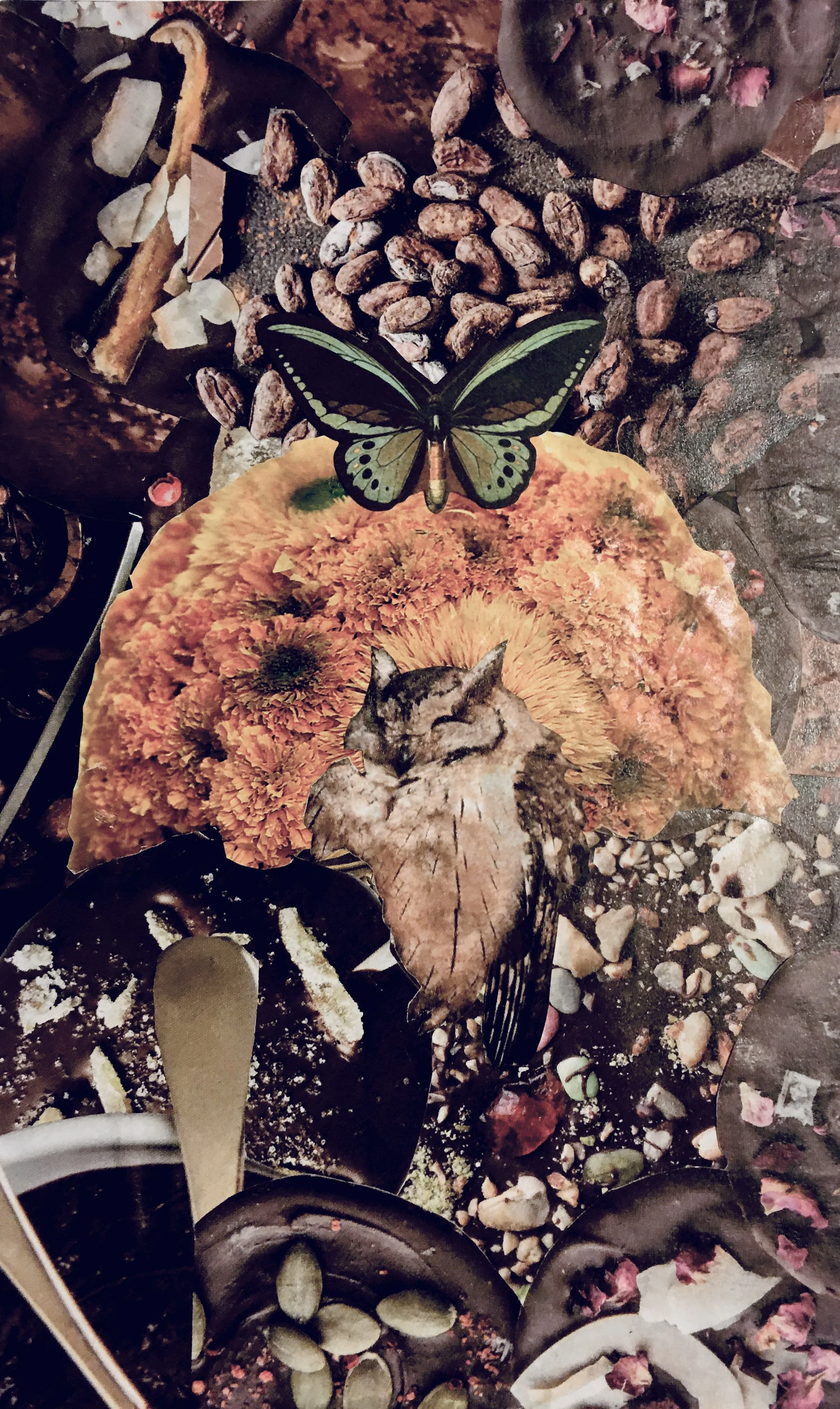SoulCollage® Materials & Resources — Creating is life Coaching