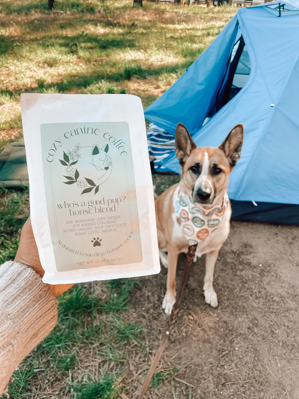 Cozy Canine Coffee