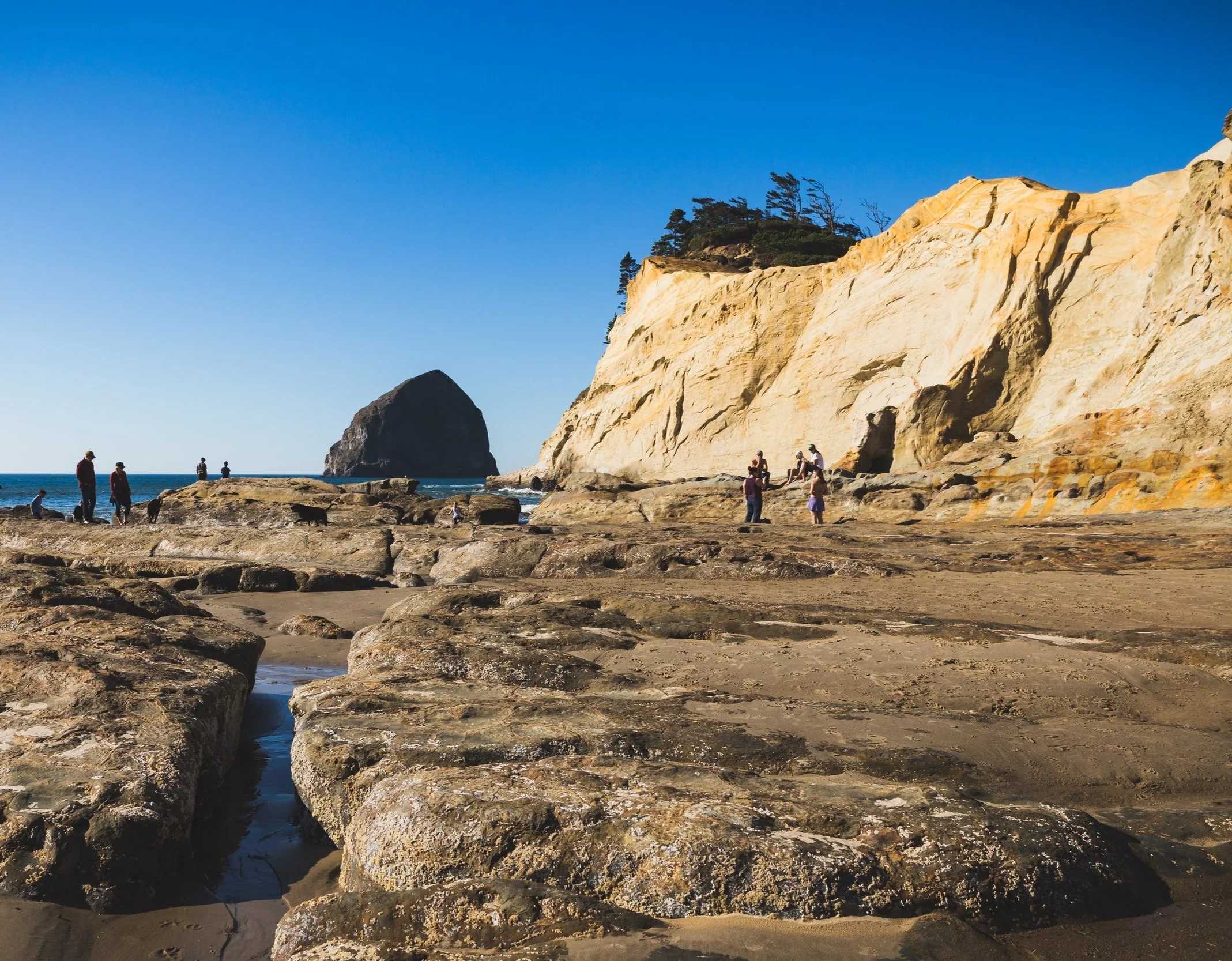 Cape Kiwanda RV Park