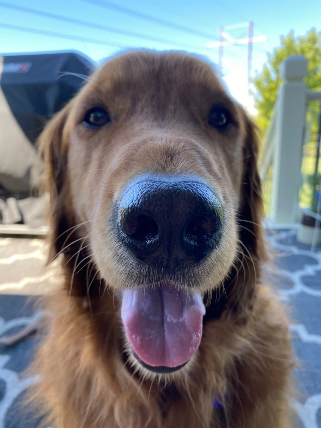 Our Mission | Zoho | Web Design — qosmic technology consulting