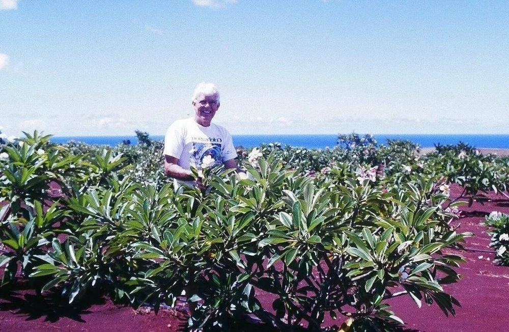 Our Story — Jim Little Plumeria
