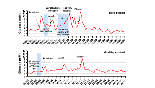 Continuous Blood Glucose (CGM) use in Athletes. How can Glucose Data ...