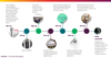 New Payment Rules for Public Sector Suppliers: Why Prompt Payment is ...