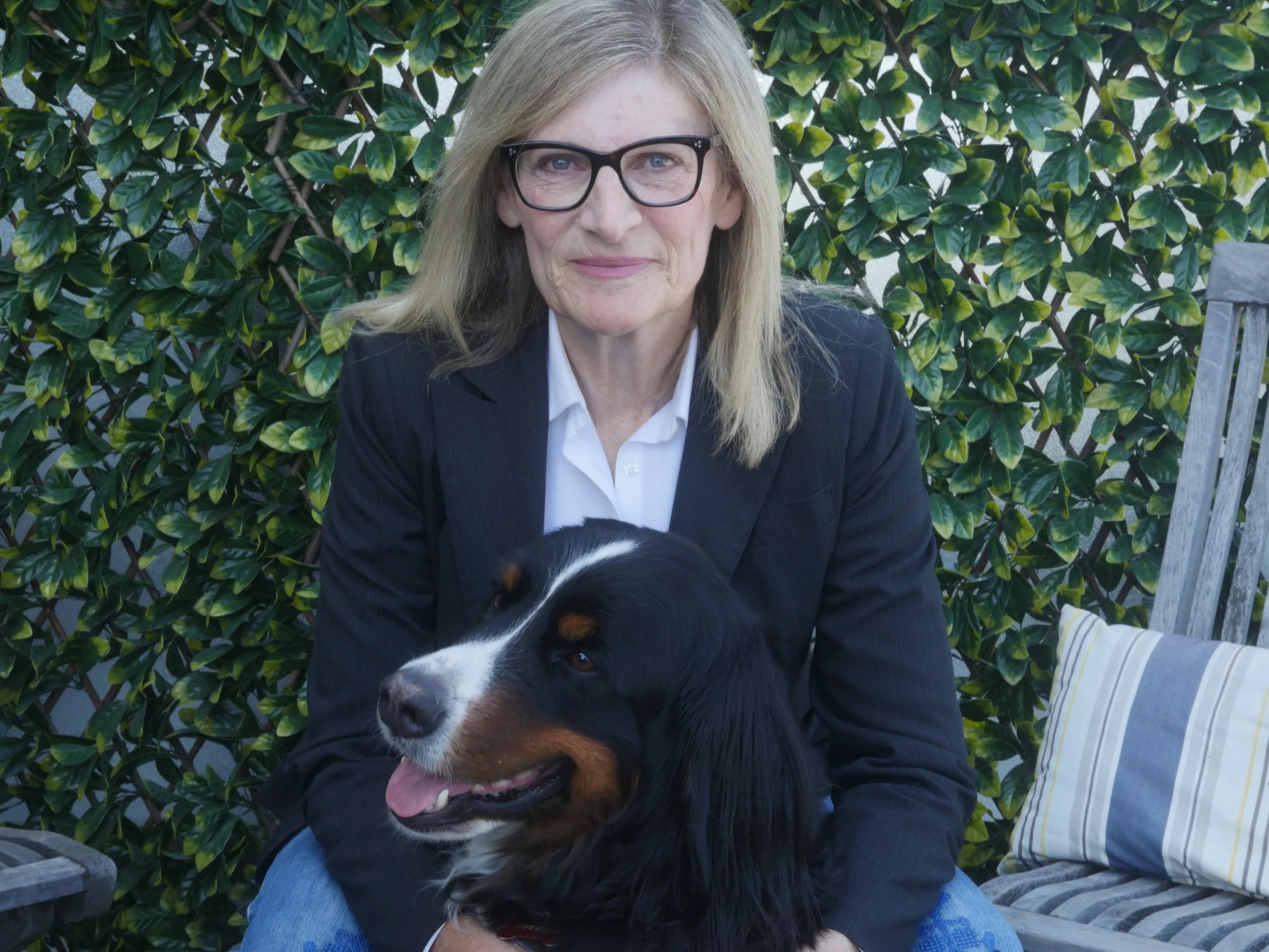 Background and Experience — Mary E. Comeau Arbitration