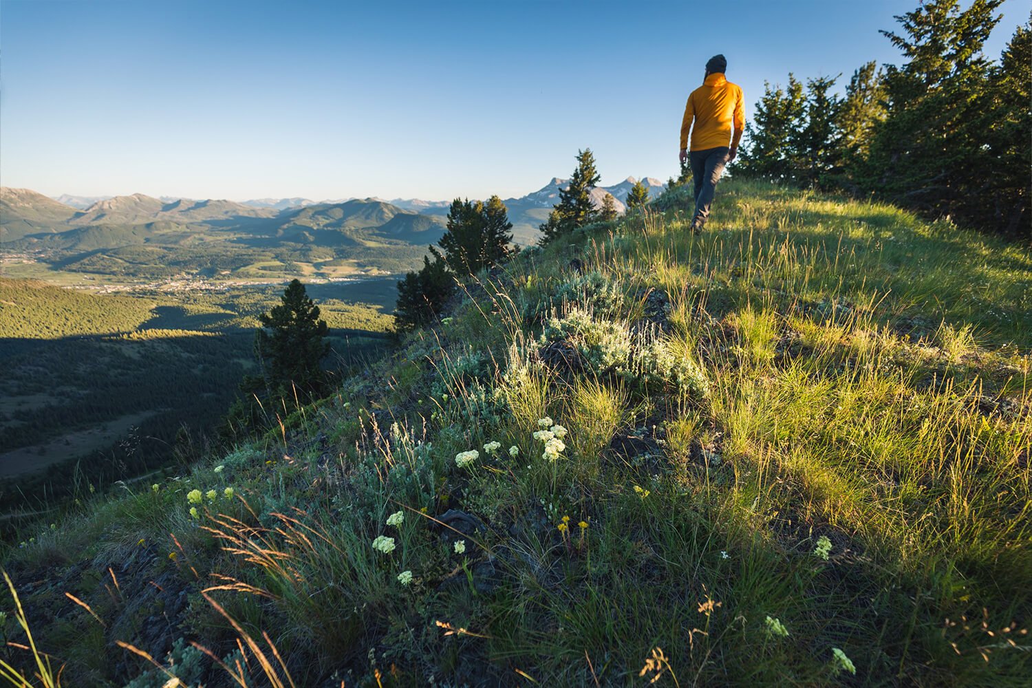 How to Hike WEDGE MOUNTAIN in the CROWSNEST PASS — Seeing the Elephant ...
