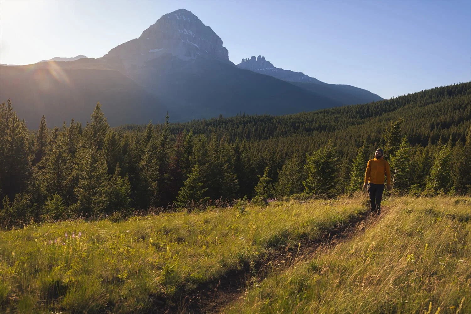 How to Hike WEDGE MOUNTAIN in the CROWSNEST PASS — Seeing the Elephant ...
