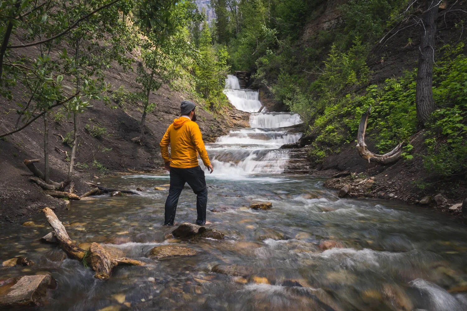 How to Hike to ALLISON CREEK FALLS in the CROWSNEST PASS — Seeing the ...