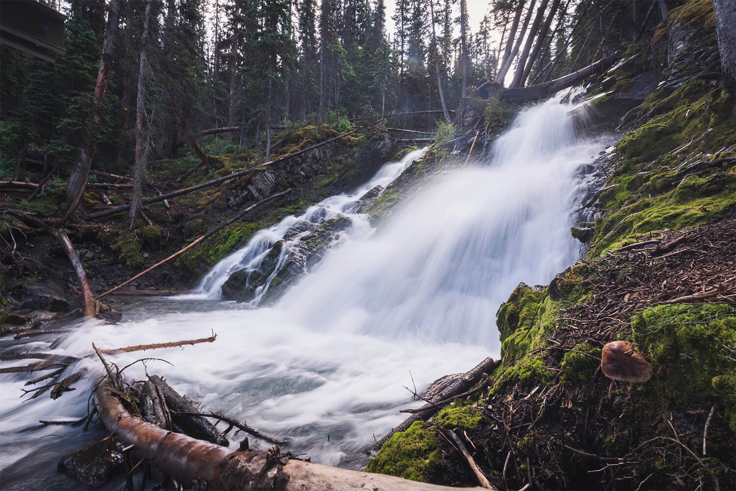 How to Hike to SARRAIL FALLS in KANANASKIS COUNTRY — Seeing the ...