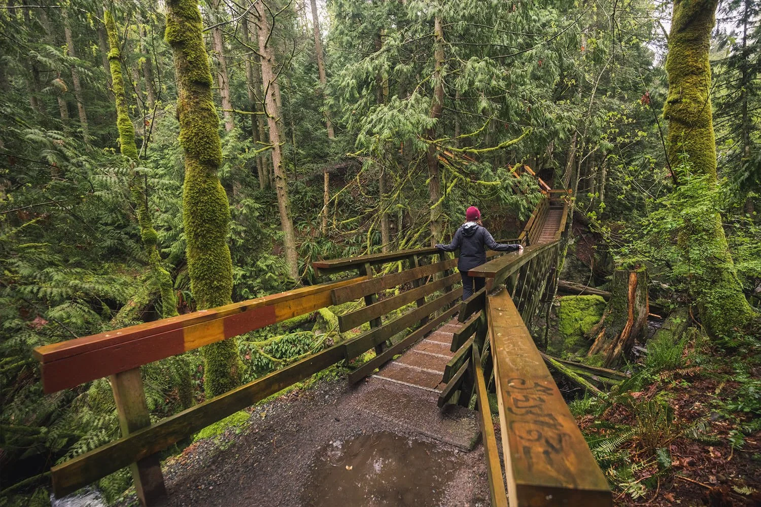 How to Visit GRANNY FALLS in NANAIMO — Seeing the Elephant | Canada ...