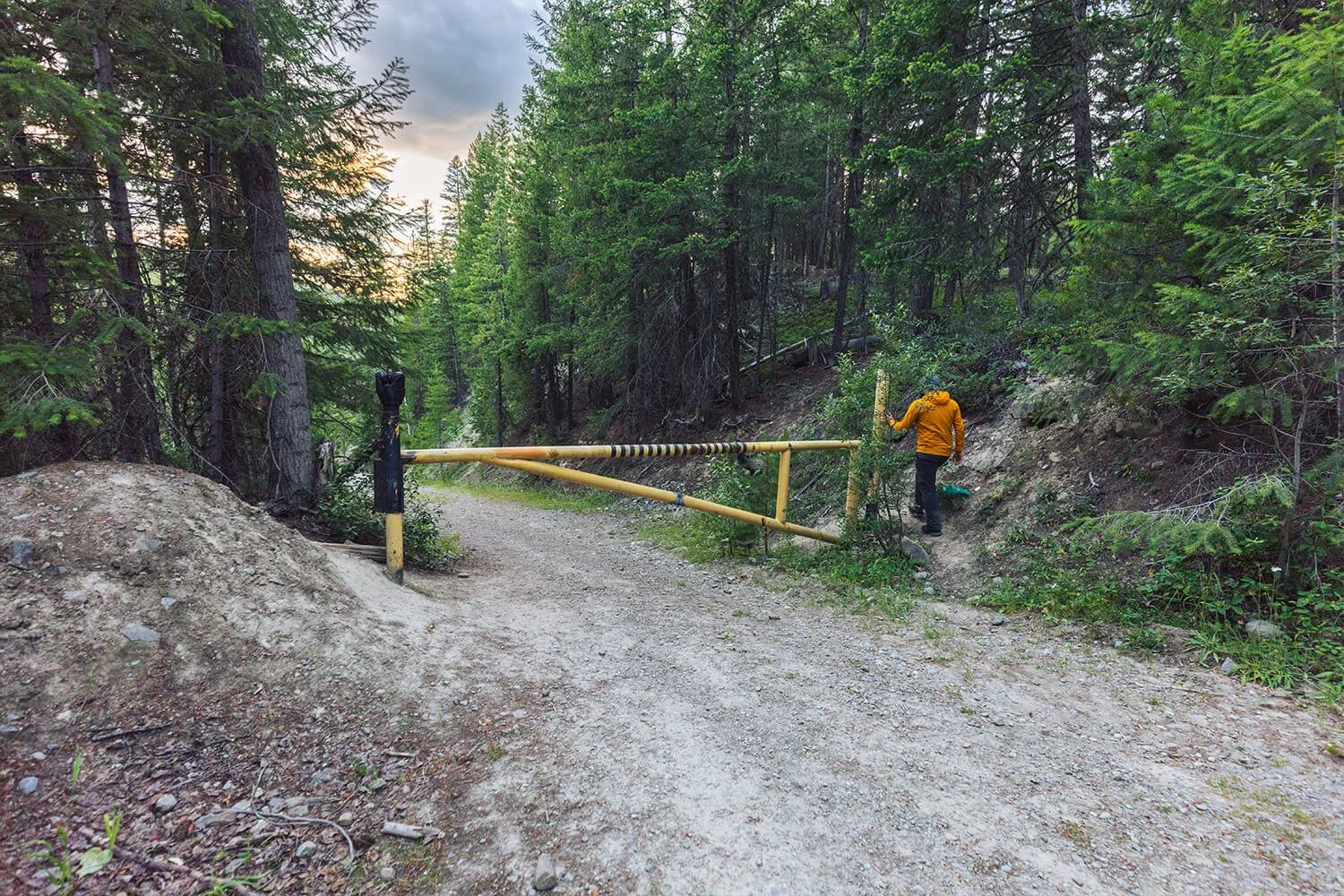 How to Hike to MOYIE FALLS Near CRANBROOK — Seeing the Elephant ...