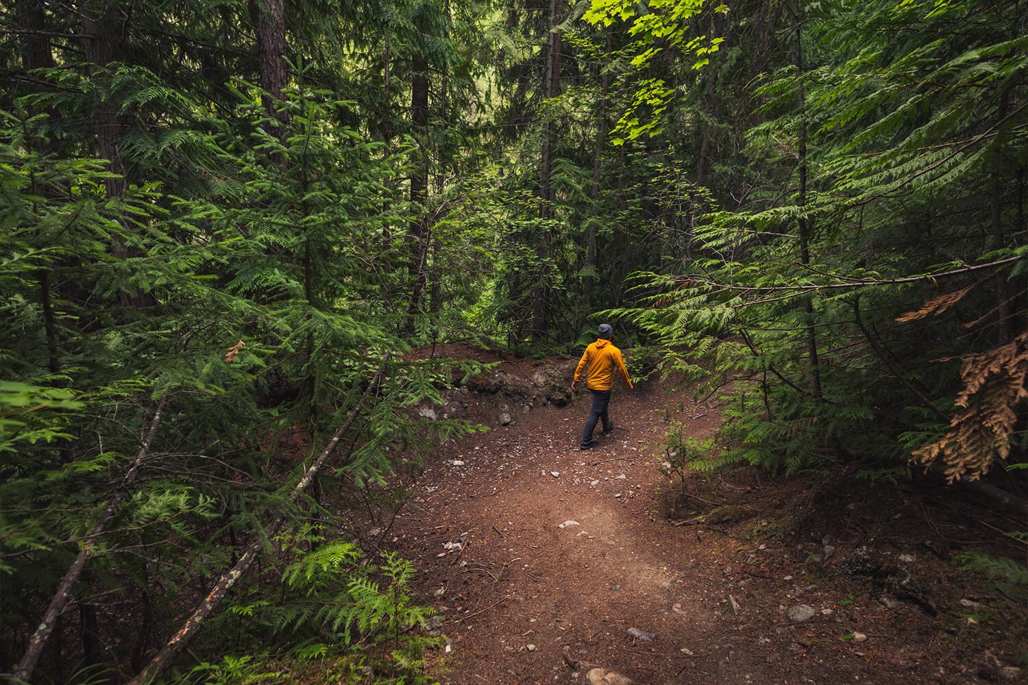 How to Hike to PERRY CREEK FALLS Near CRANBROOK — Seeing the Elephant ...