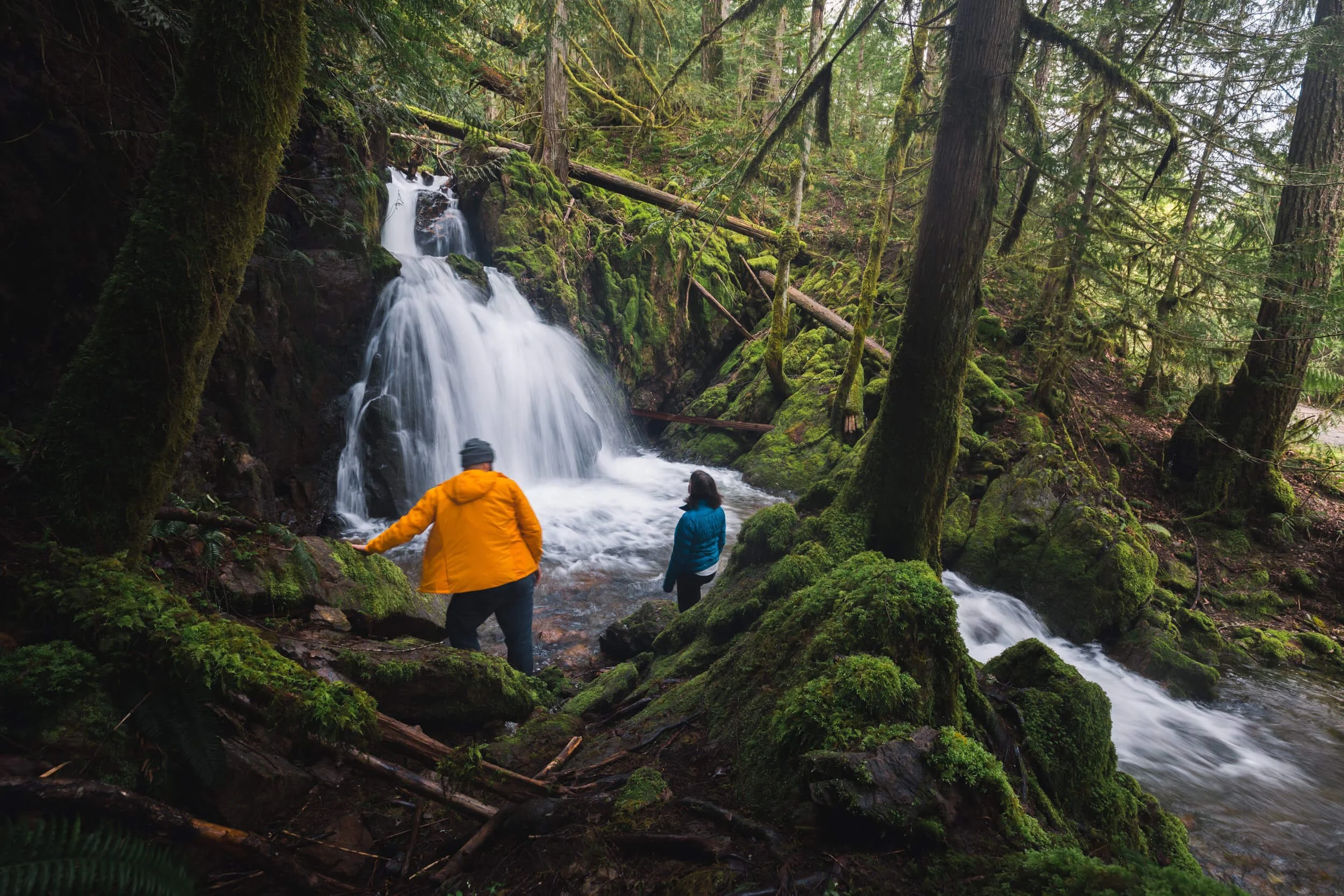 How to Hike to ROGERS CREEK FALLS in PORT ALBERNI — Seeing the Elephant ...
