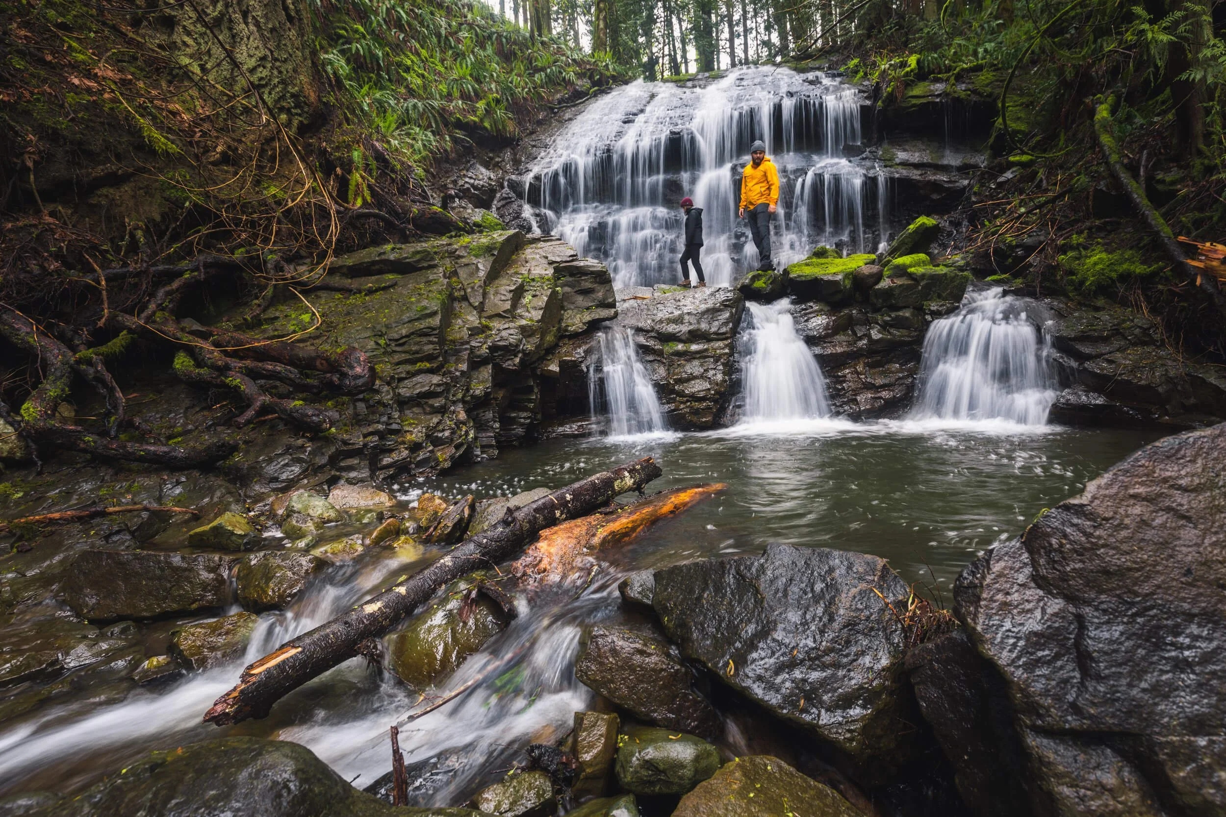 How to Hike to AMMONITE FALLS Near NANAIMO — Seeing the Elephant ...