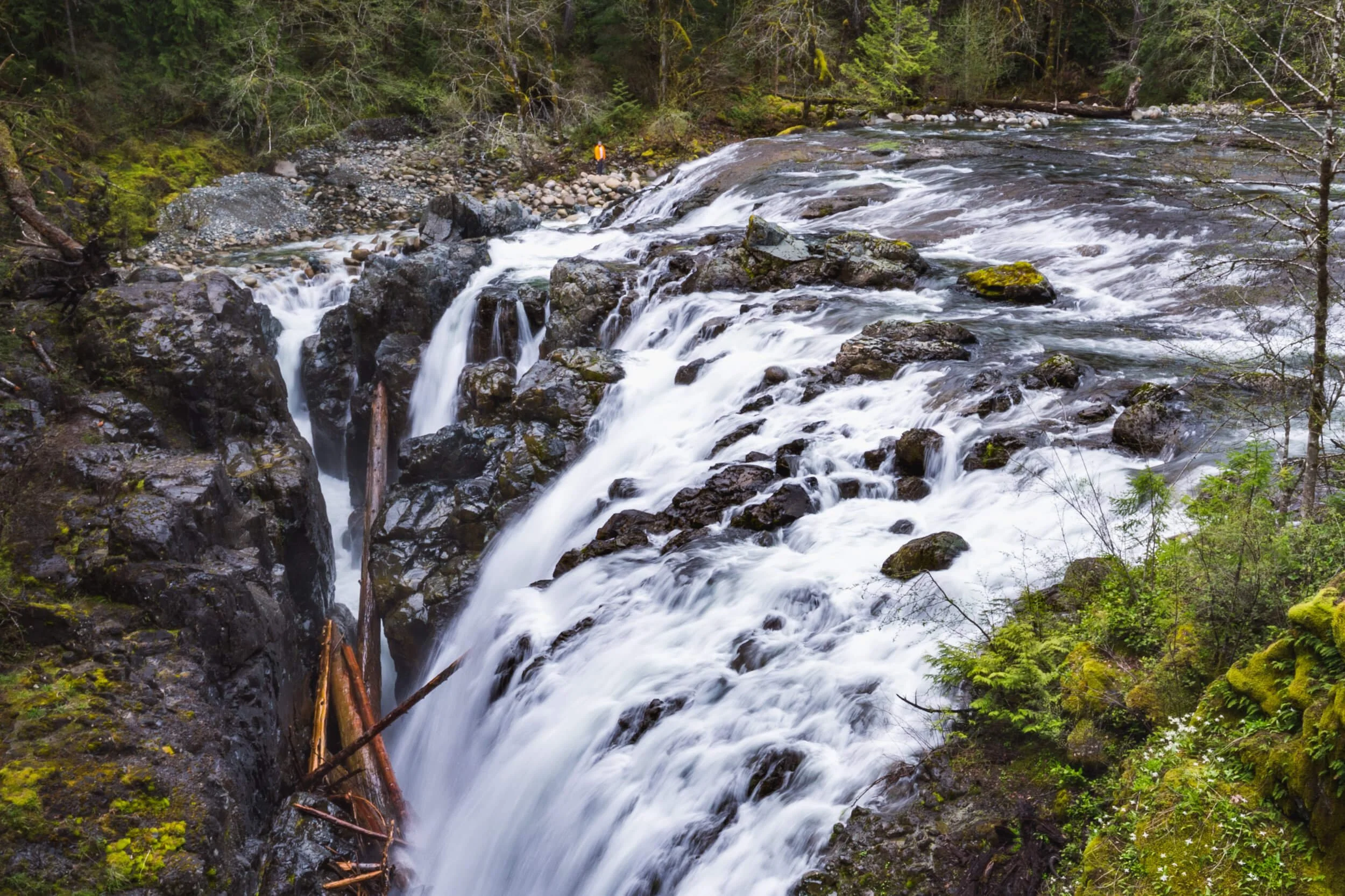 How to Hike to ROGERS CREEK FALLS in PORT ALBERNI — Seeing the Elephant ...