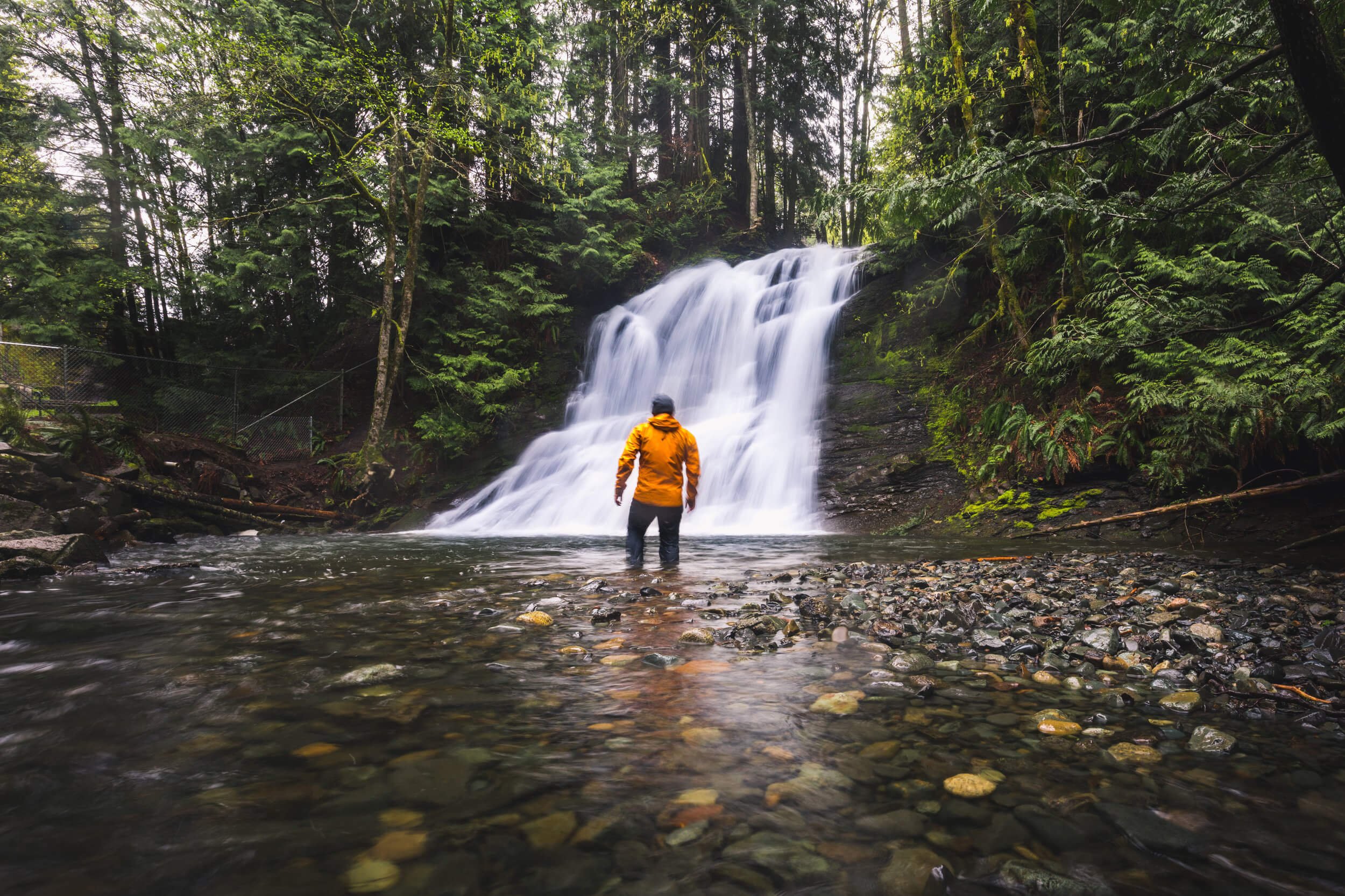 How to Hike to AMMONITE FALLS Near NANAIMO — Seeing the Elephant ...