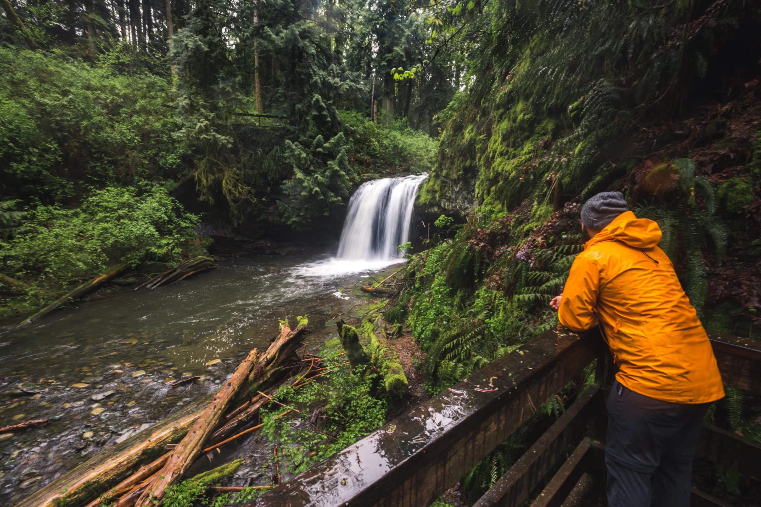 How to Hike to ROGERS CREEK FALLS in PORT ALBERNI — Seeing the Elephant ...