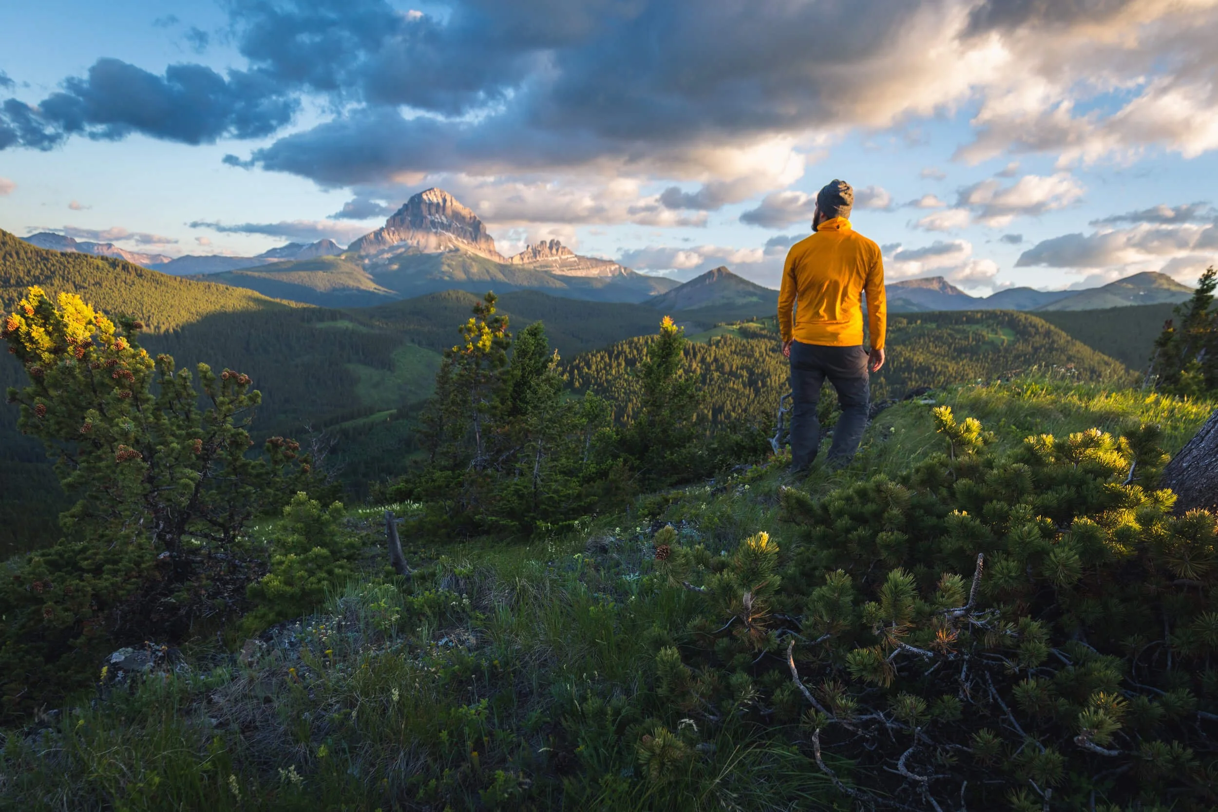 How to Hike to STAR CREEK FALLS in the CROWSNEST PASS — Seeing the ...