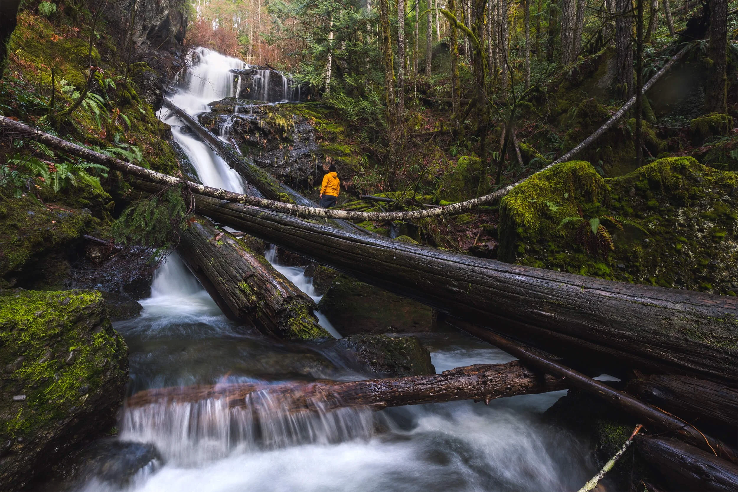 How to Hike to ROGERS CREEK FALLS in PORT ALBERNI — Seeing the Elephant ...