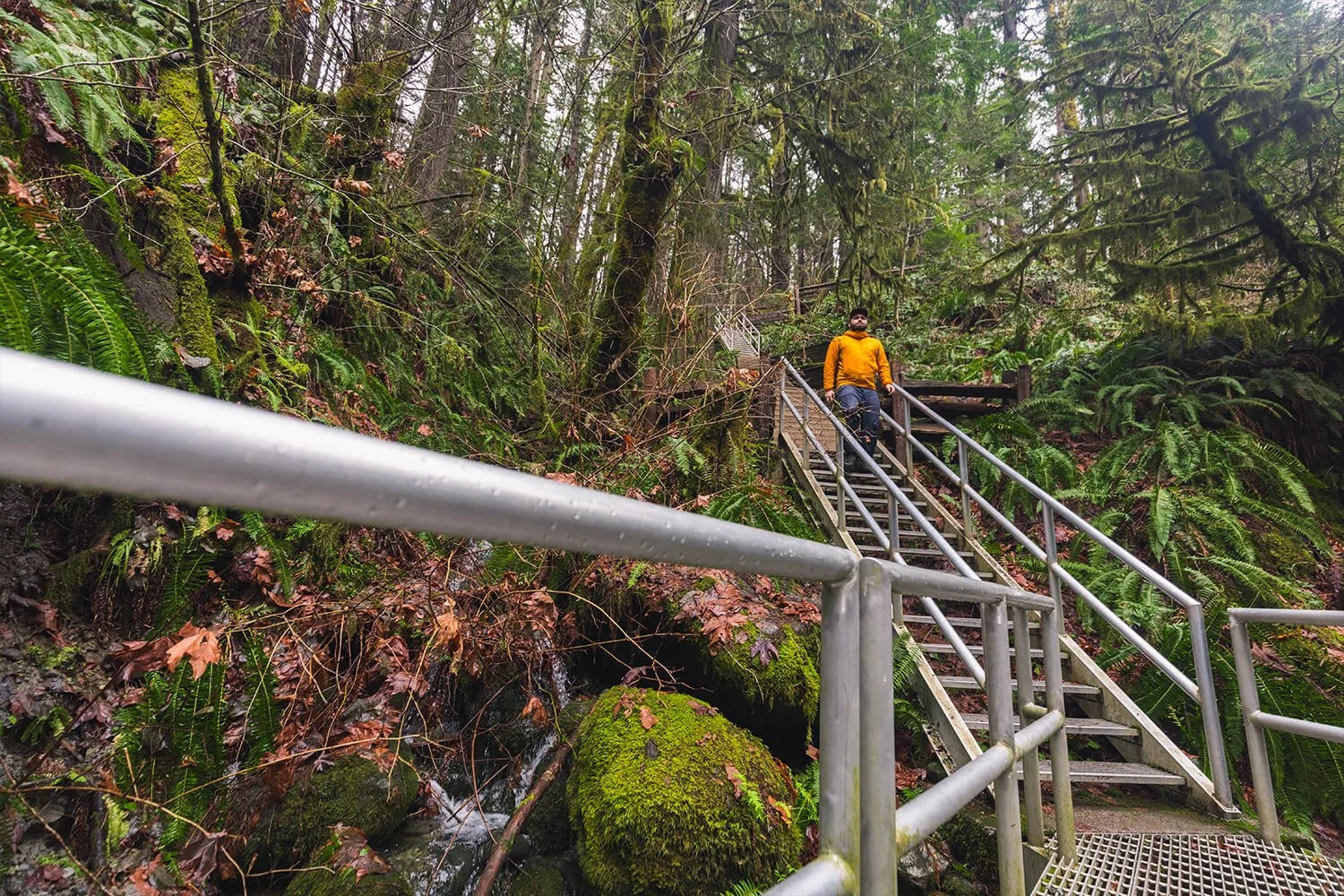 How to Hike to GOLDSTREAM FALLS near VICTORIA — Seeing the Elephant ...