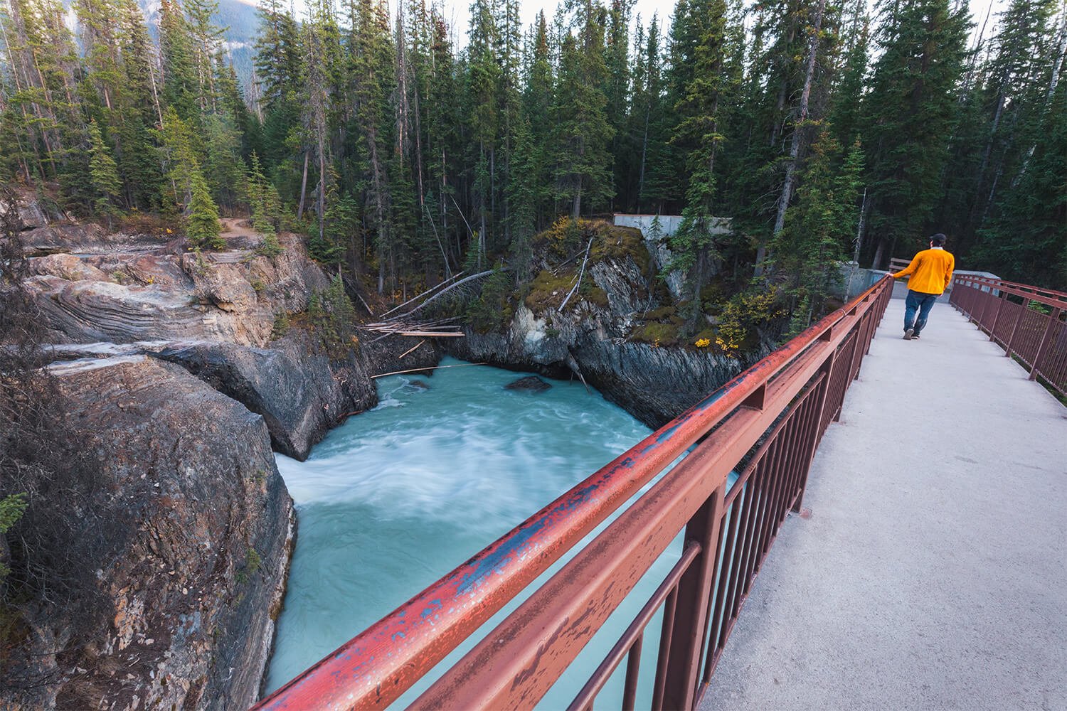 How to Visit NATURAL BRIDGE in YOHO NATIONAL PARK — Seeing the Elephant ...