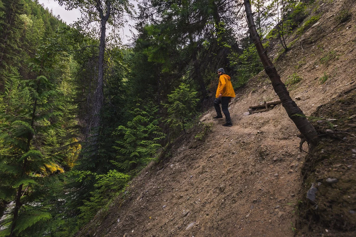 How to Hike to PERRY CREEK FALLS Near CRANBROOK — Seeing the Elephant ...