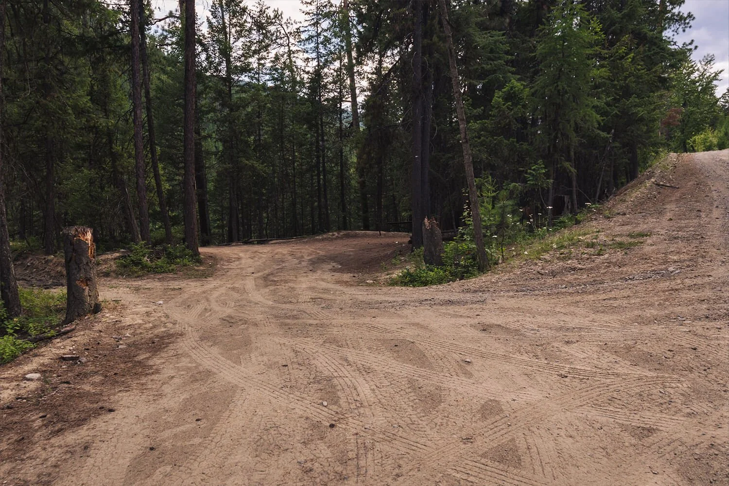 How to Hike to PERRY CREEK FALLS Near CRANBROOK — Seeing the Elephant ...