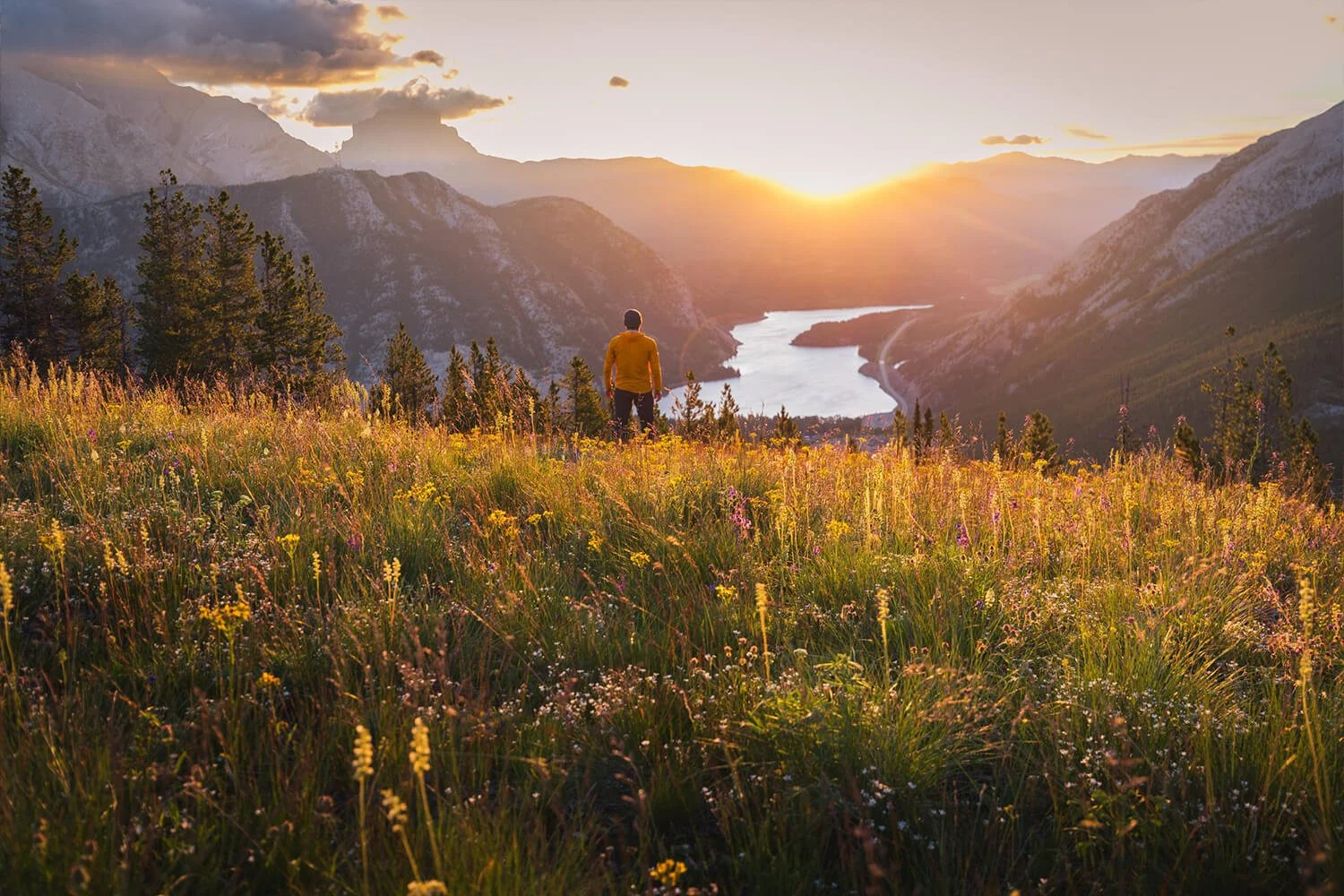 How to Hike ISLAND RIDGE in the CROWSNEST PASS — Seeing the Elephant ...
