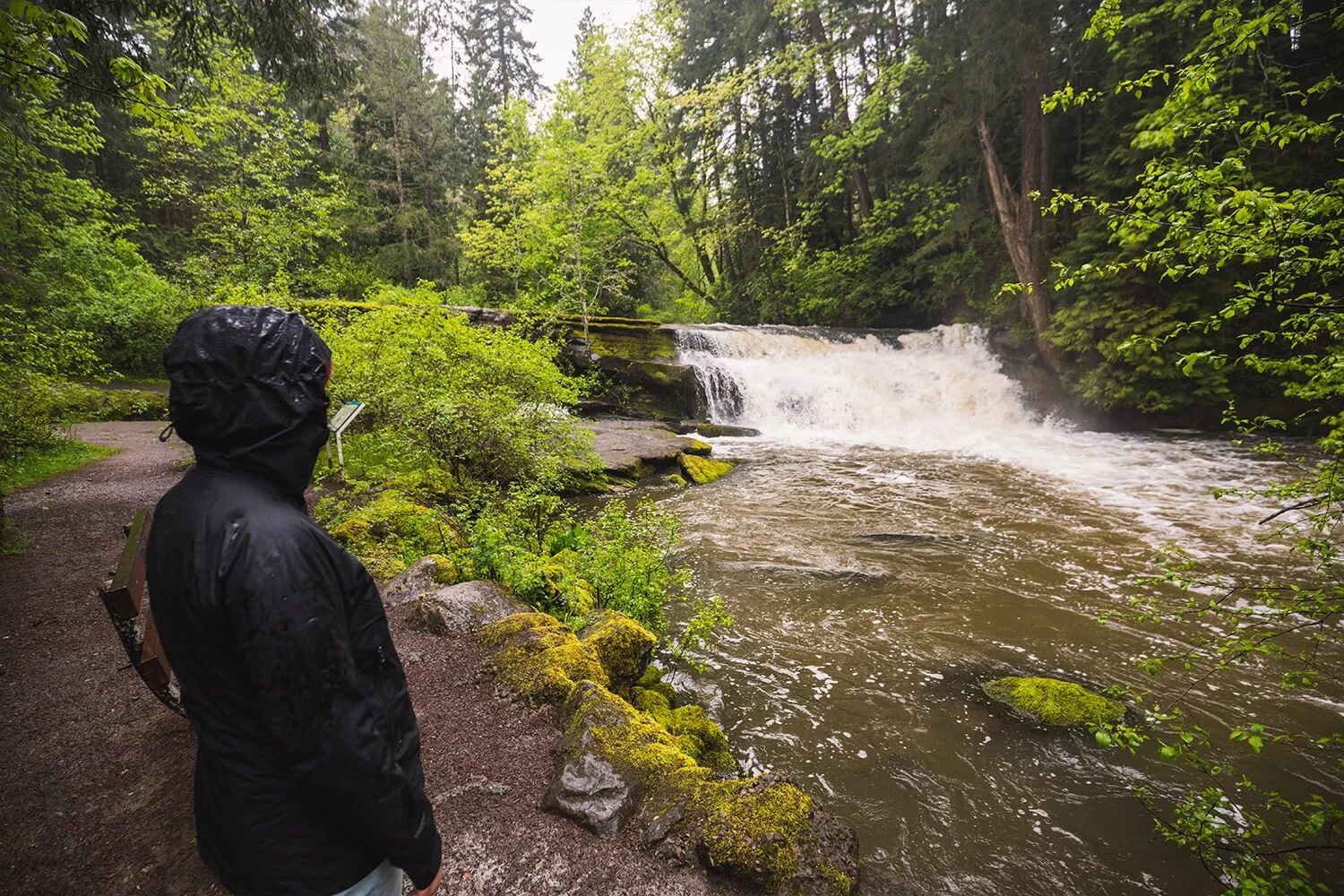 How to Hike to MILLSTONE RIVER FALLS in NANAIMO — Seeing the Elephant ...